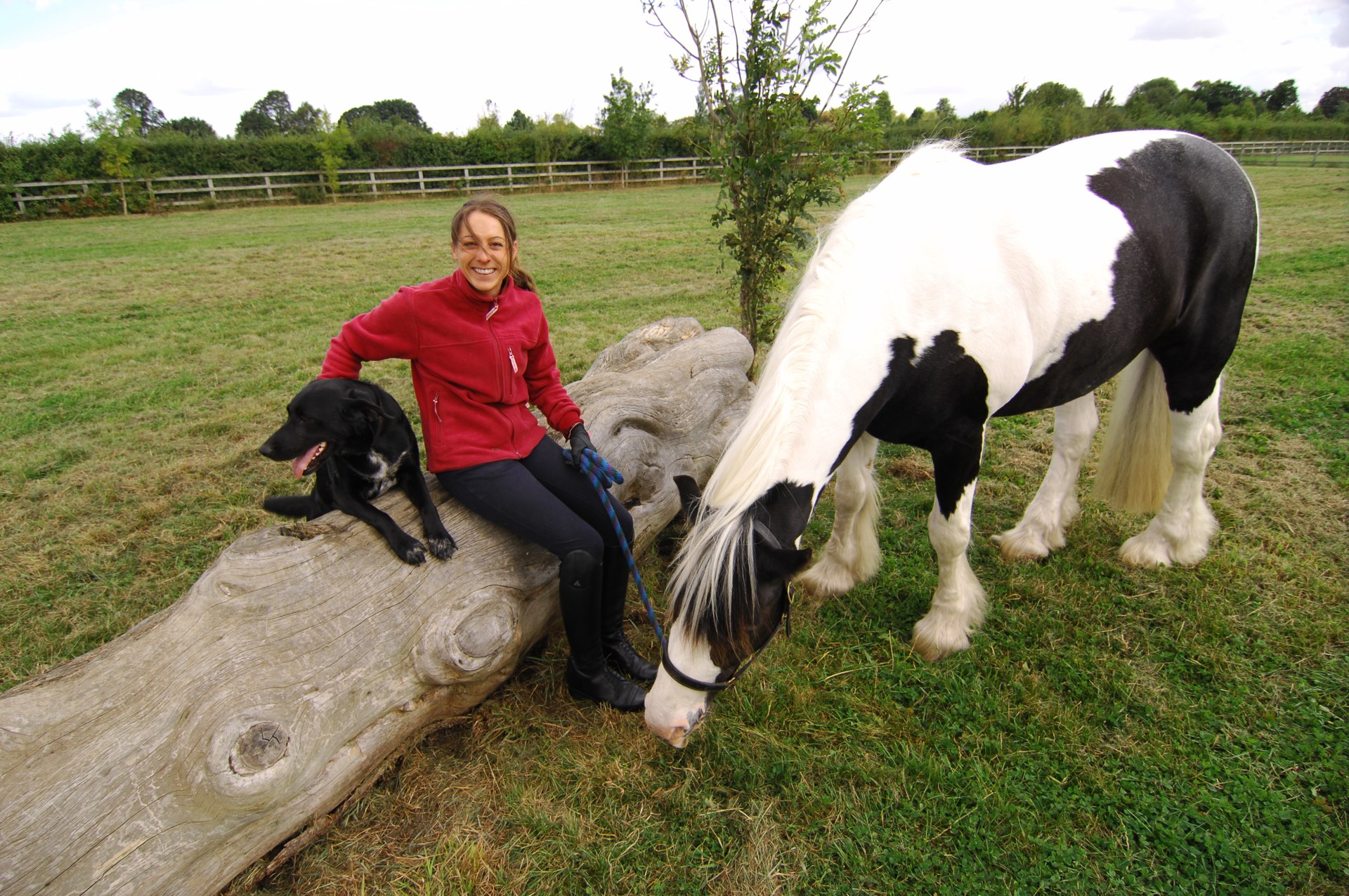 Hall Farm Stables – Cambridge Riding School