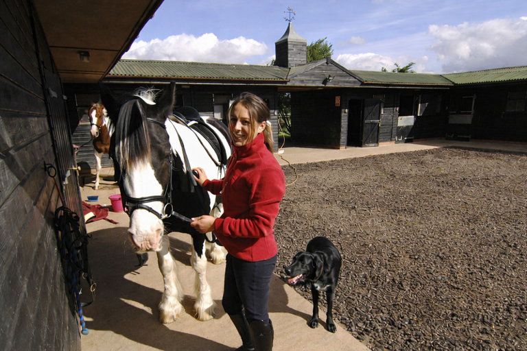 Livery – Hall Farm Stables